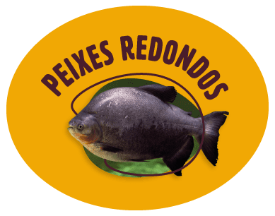 Amazônia rica e extraordinária: por dentro das cadeias produtivas ...