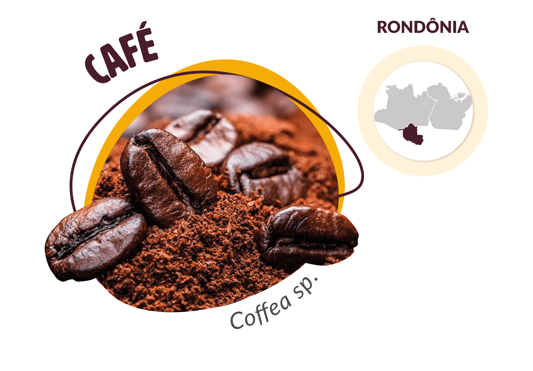 Café | PRS Amazônia