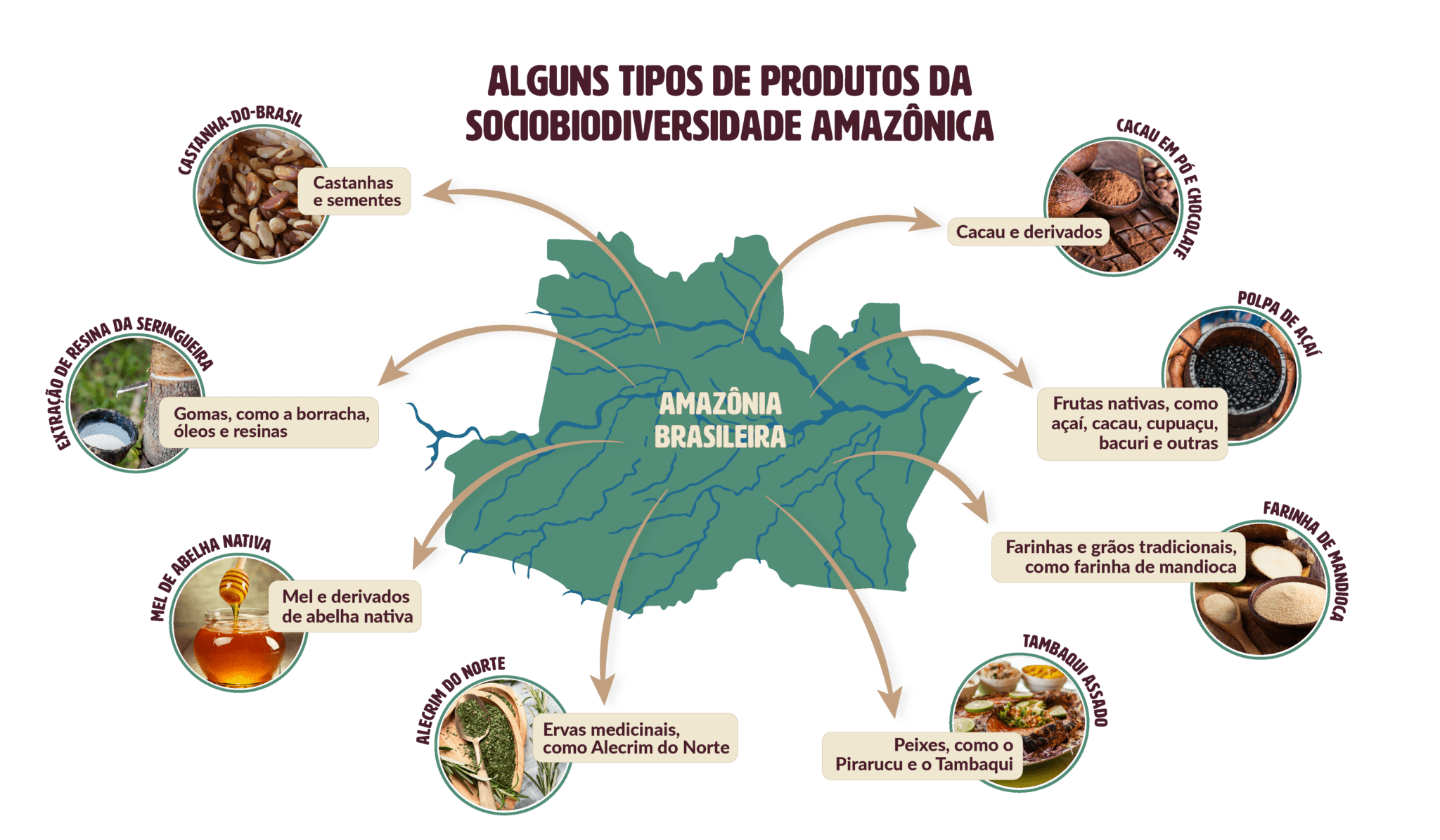 Você conhece os produtos da sociobiodiversidade da Amazônia? | PRS Amazônia